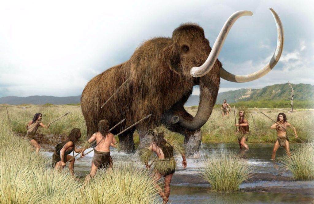 10 of the Biggest and Baddest in Wildlife | HenSpark